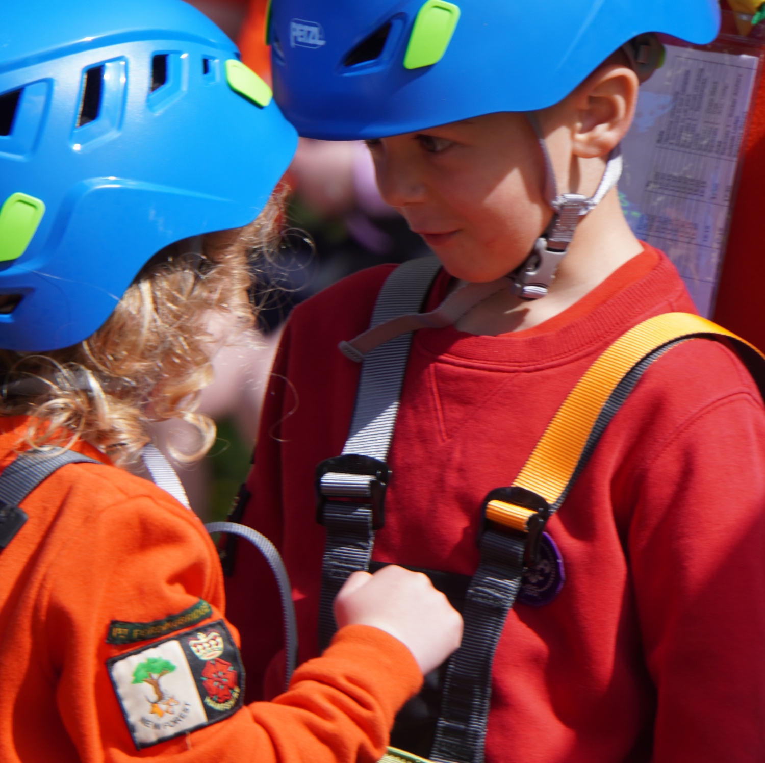 Squirrels – New Forest Scouts